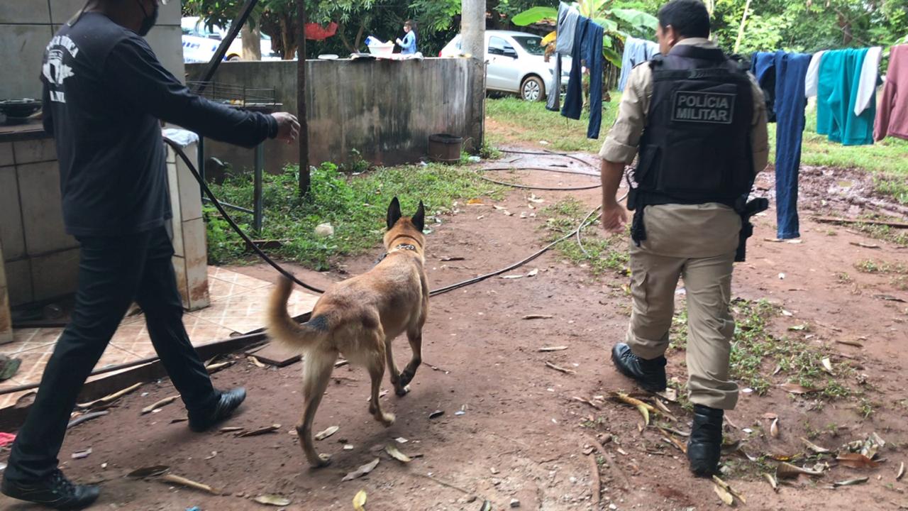 Com Ajuda De Cães Farejadores Pms Encontram Drogas E Dinheiro
